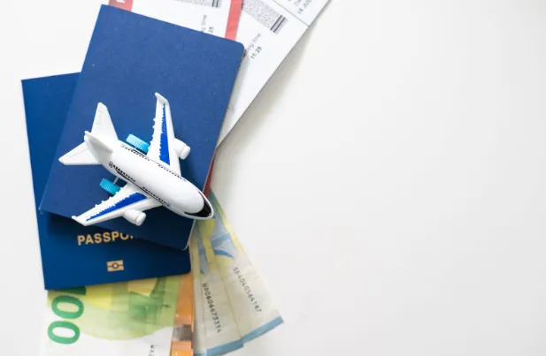 D12 Pre-Investment Multiple Entry Visa - Bright Solution